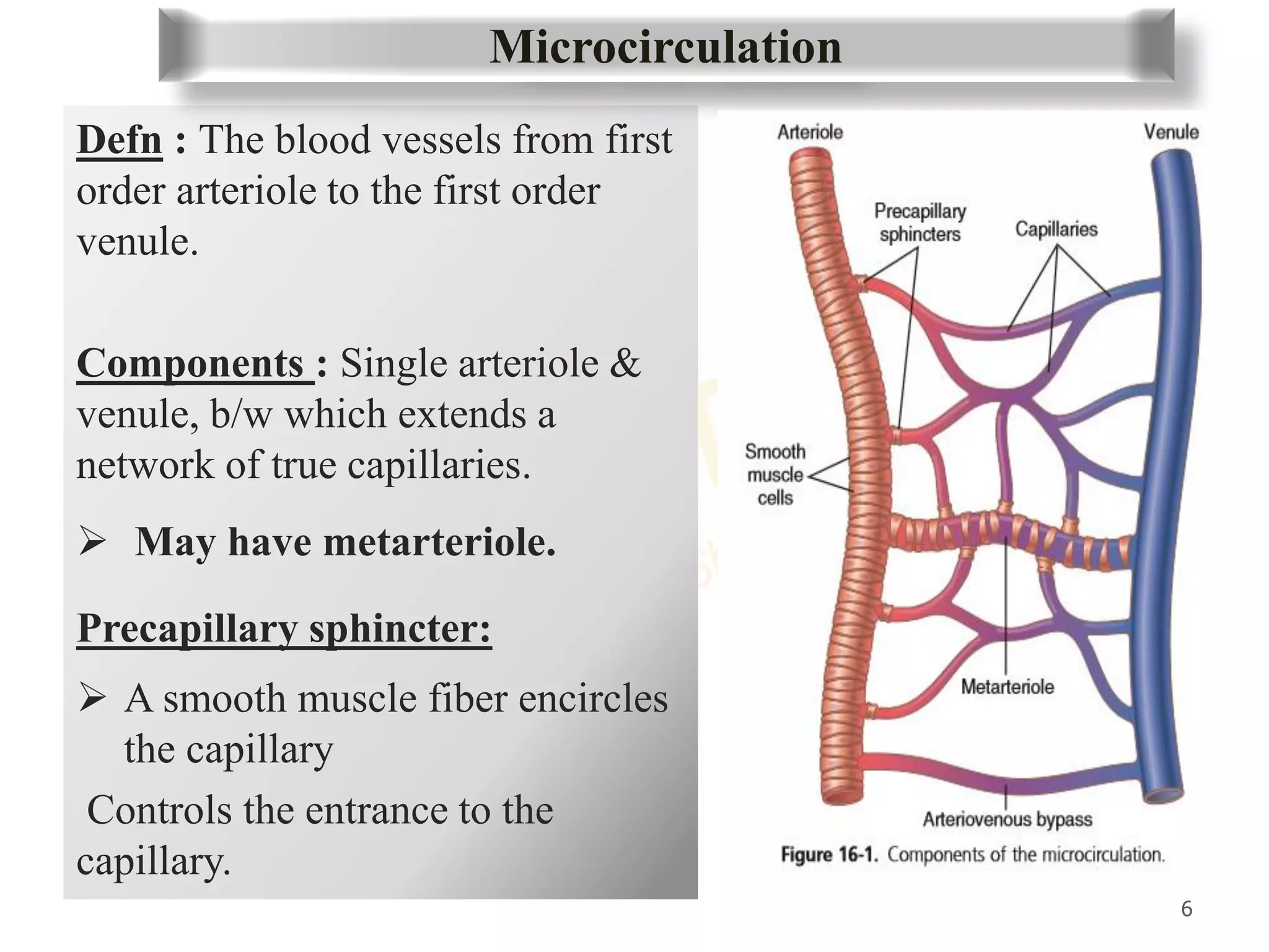 Final lect 75 microcirculation 2020 | PDF