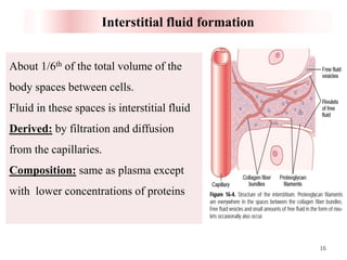 Final lect 75 microcirculation 2020 | PDF