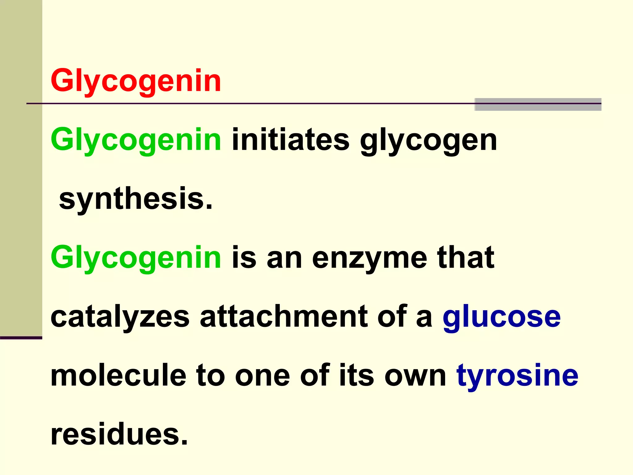 Final Lect 8 Glycogen Storage Diseases Ppt