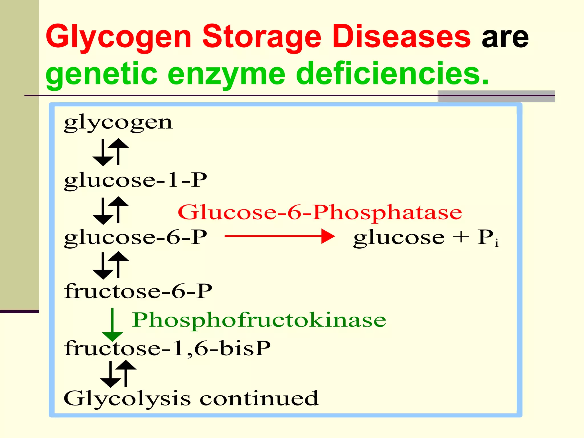 Final lect; 8 glycogen storage diseases | PPT