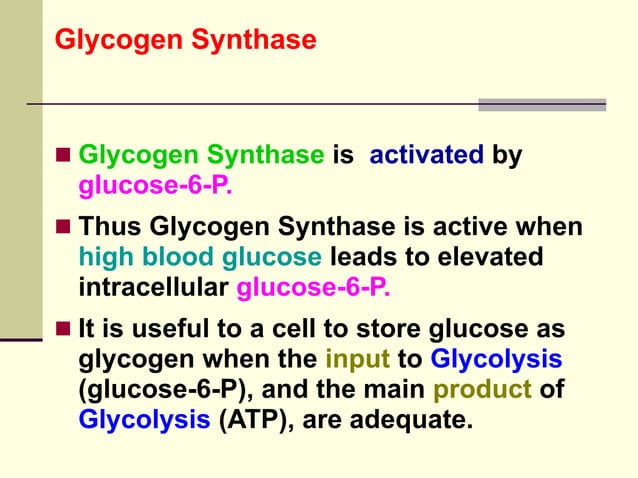Final lect; 8 glycogen storage diseases | PPT