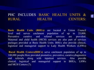 Final lecture on health care system in pakistan | PPTX