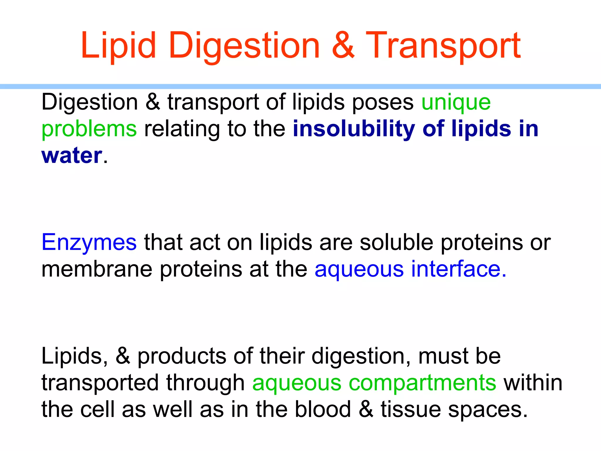 Final lipid 1 Lipids, Lipid Family | PPT
