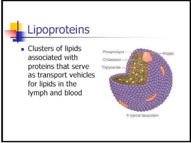 Final lipid 1 Lipids, Lipid Family | PPT