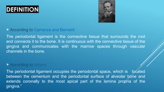 FINALLLLLL PERIODONTAL LIGAMENT.pptx ALL | PPTX