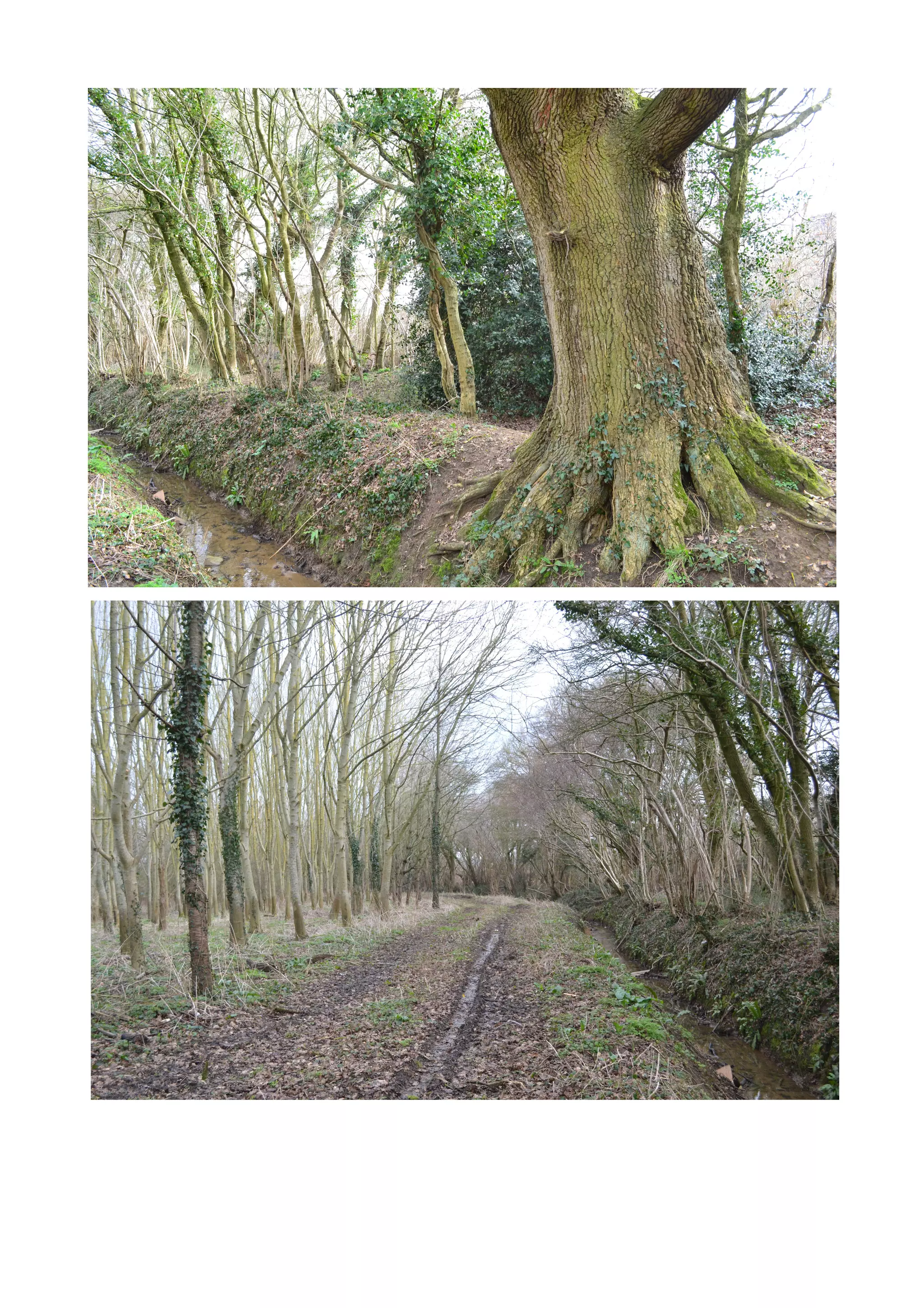 Final location shots | PDF