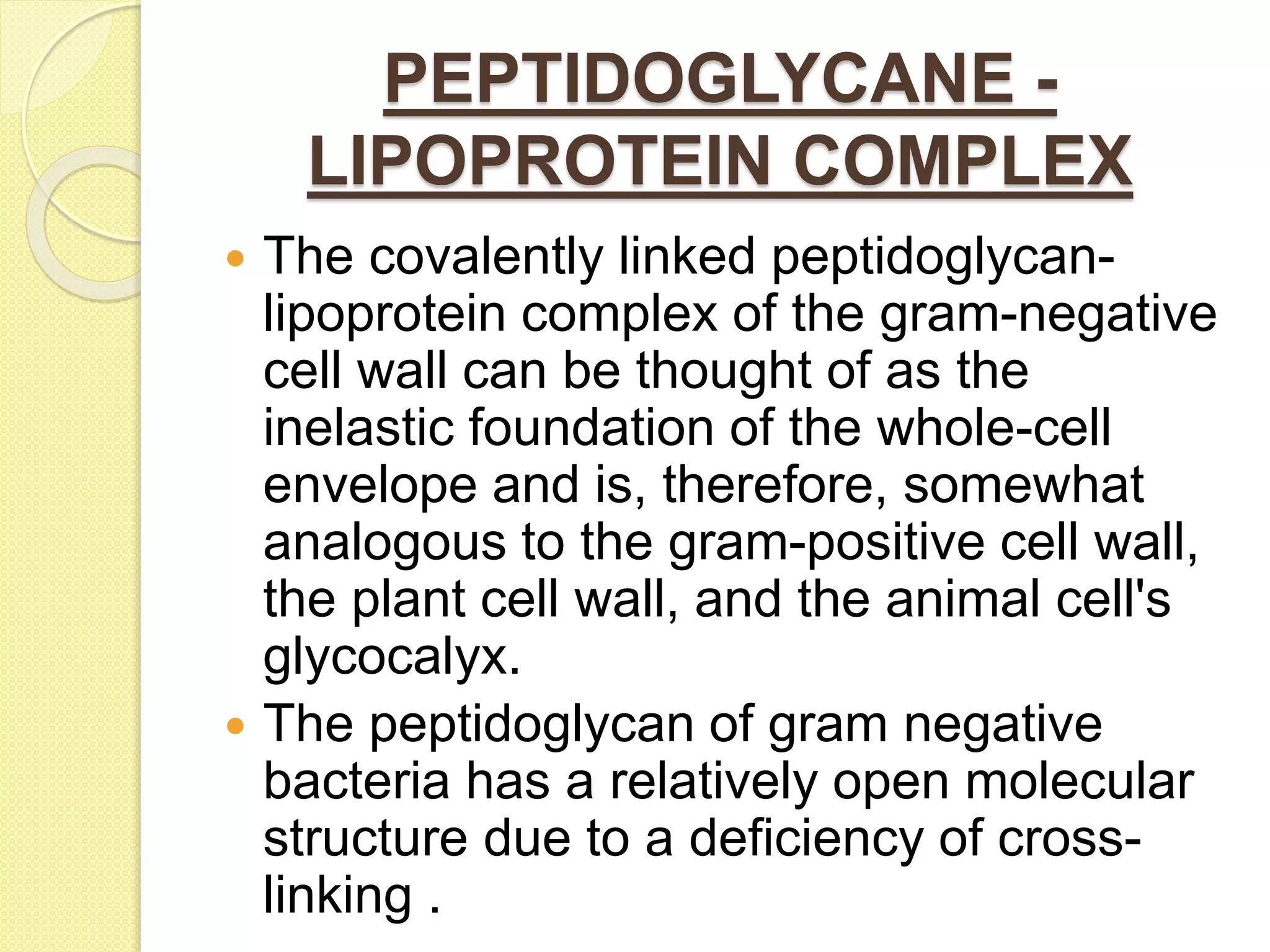 structure and function of the cell envelope of gram negative bacteria ...