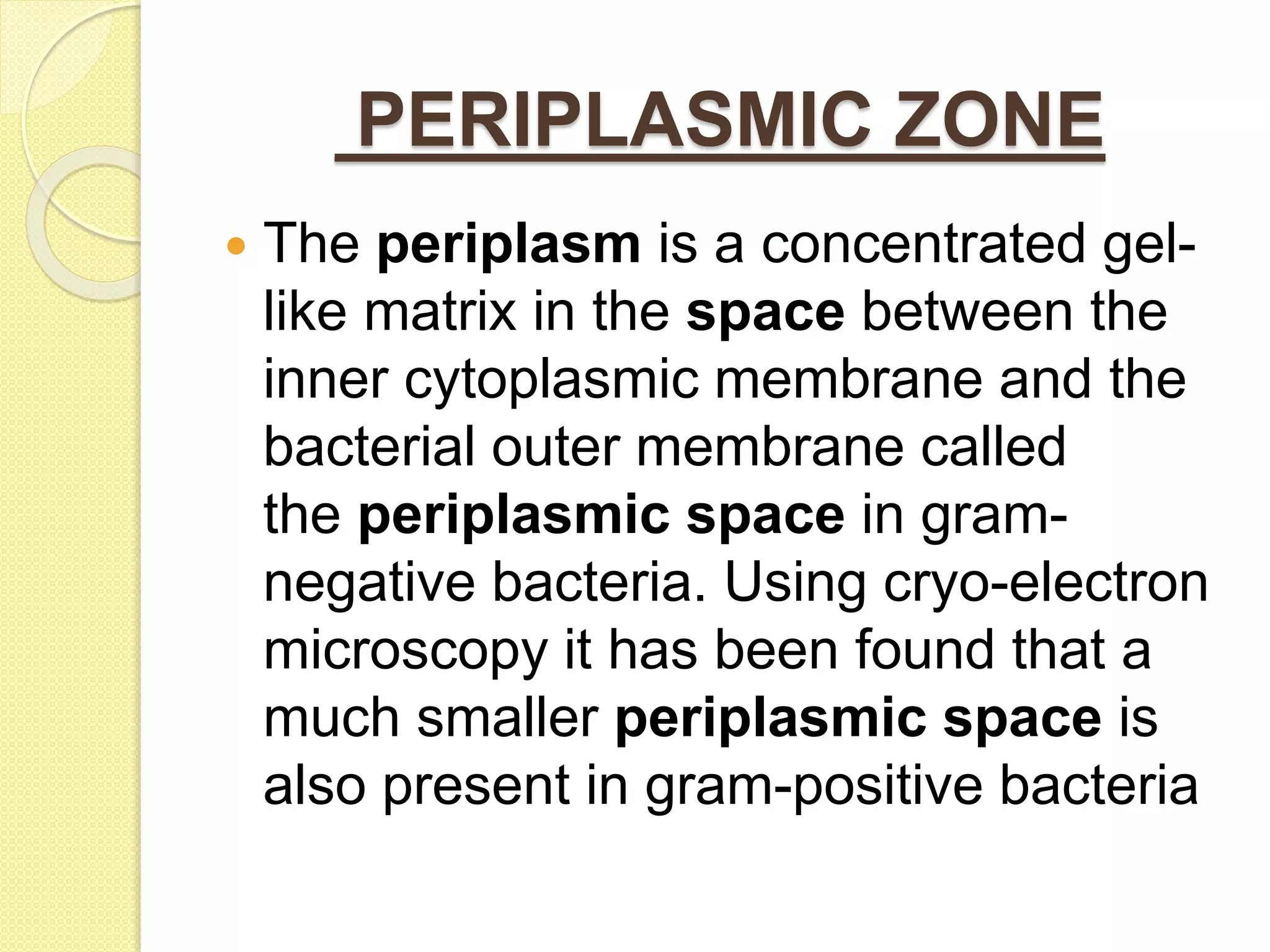 structure and function of the cell envelope of gram negative bacteria ...