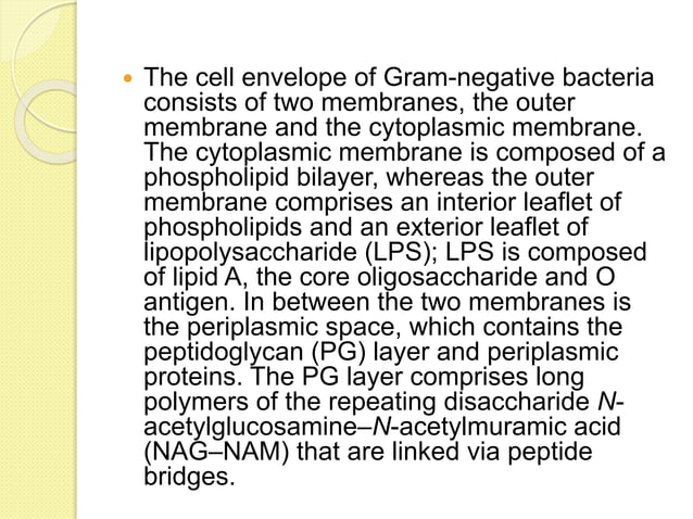 structure and function of the cell envelope of gram negative bacteria ...