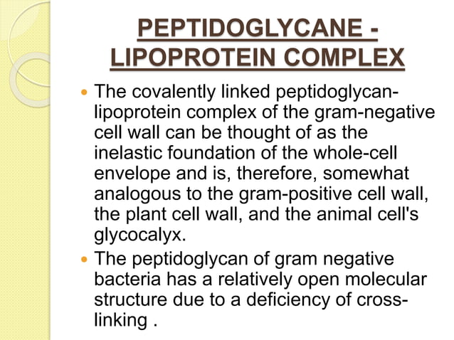 structure and function of the cell envelope of gram negative bacteria ...