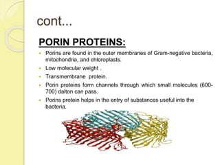 structure and function of the cell envelope of gram negative bacteria ...