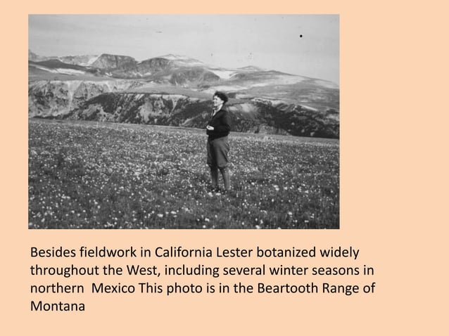 Lester Rowntree, California Native Plant Woman | PPTX | Gardening ...