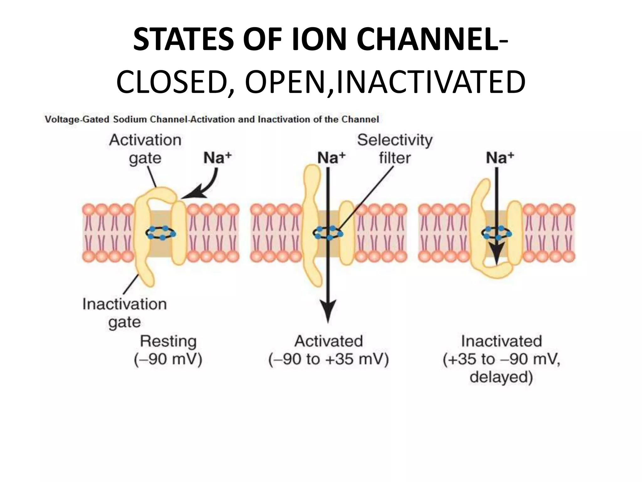 channelopathies | PPTX