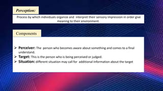sensation and perception | PPT
