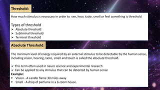 sensation and perception | PPT