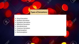 sensation and perception | PPT