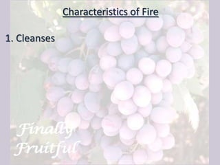 Finally fruitfulpar3 combustible | PPTX