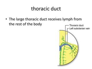 lymphatic system and lymph fluid | PPTX