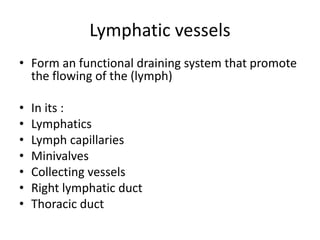 lymphatic system and lymph fluid | PPT