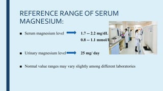 serum magnesium(S/E) | PPTX