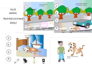 Final major project final first aid pitch | PPTX | First Aid | Injuries
