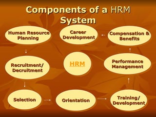 Human resource management process | PPT