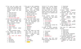 Final Manyer Fibronectin.docx