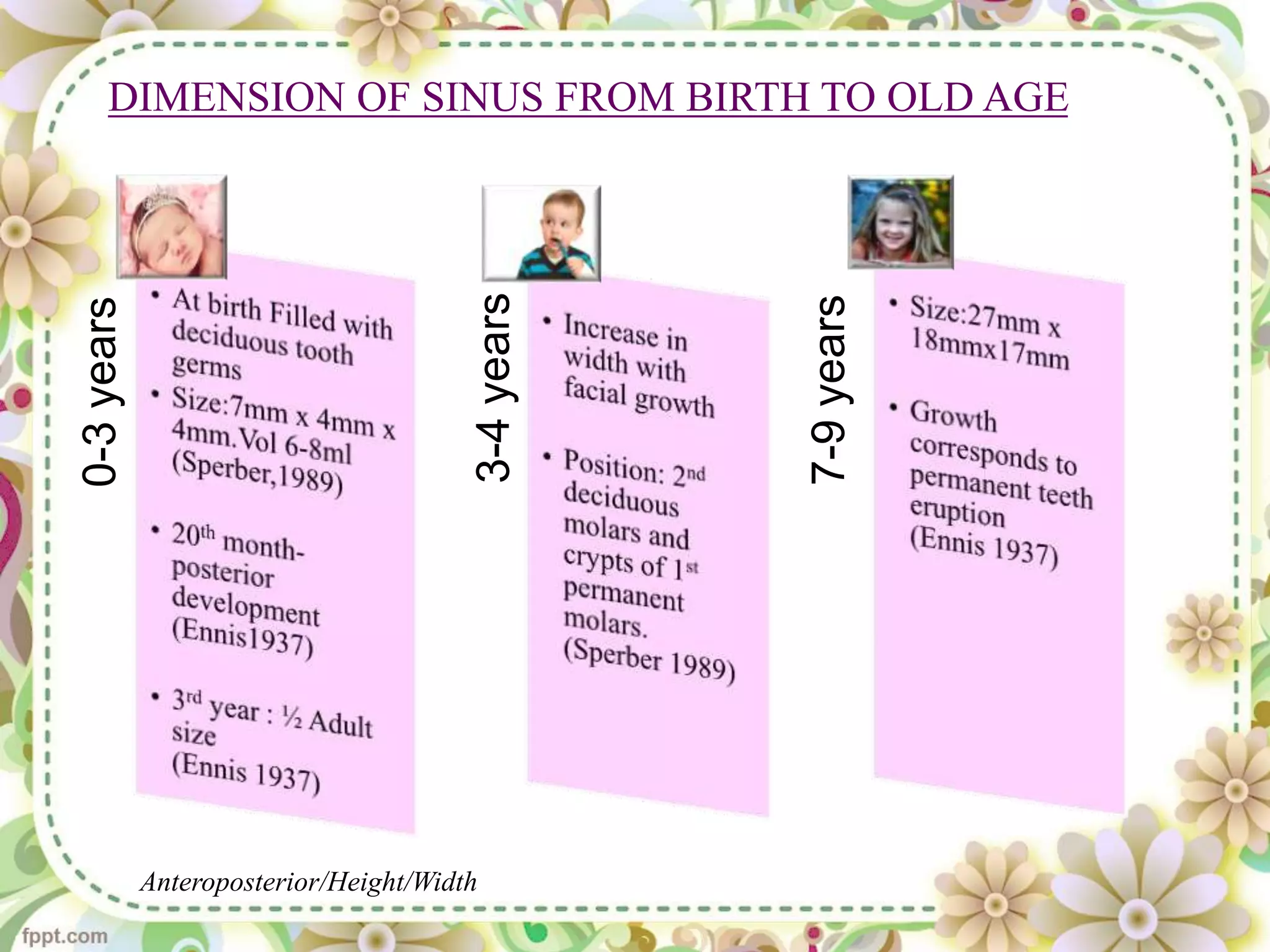 maxillary sinus seminar | PPTX