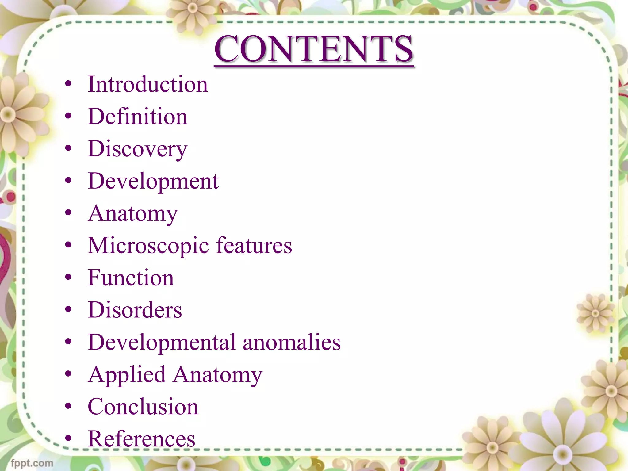 Maxillary Sinus Seminar Ppt