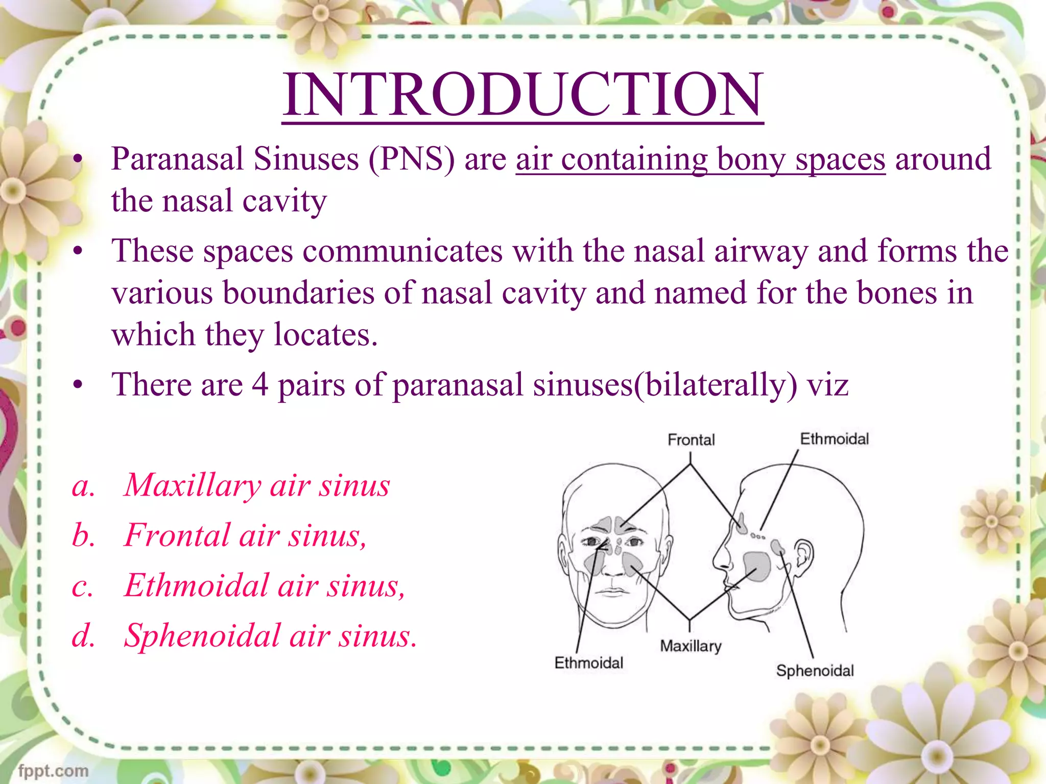 maxillary sinus seminar | PPTX
