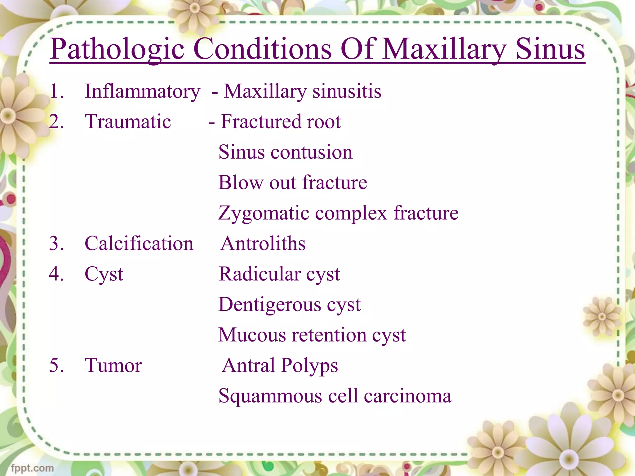 maxillary sinus seminar | PPTX