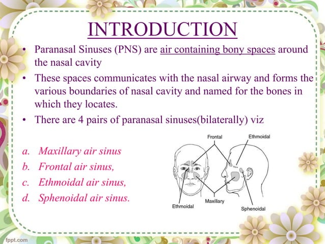 maxillary sinus seminar | PPTX | Ear, Nose and Throat Conditions ...