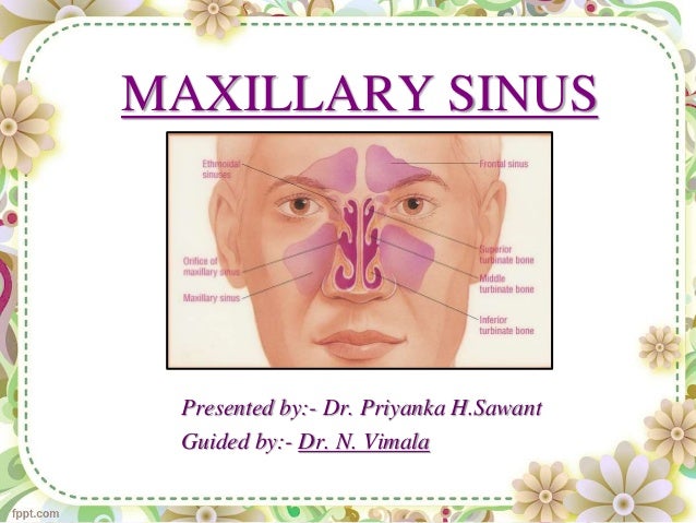 Maxillary Sinus Seminar