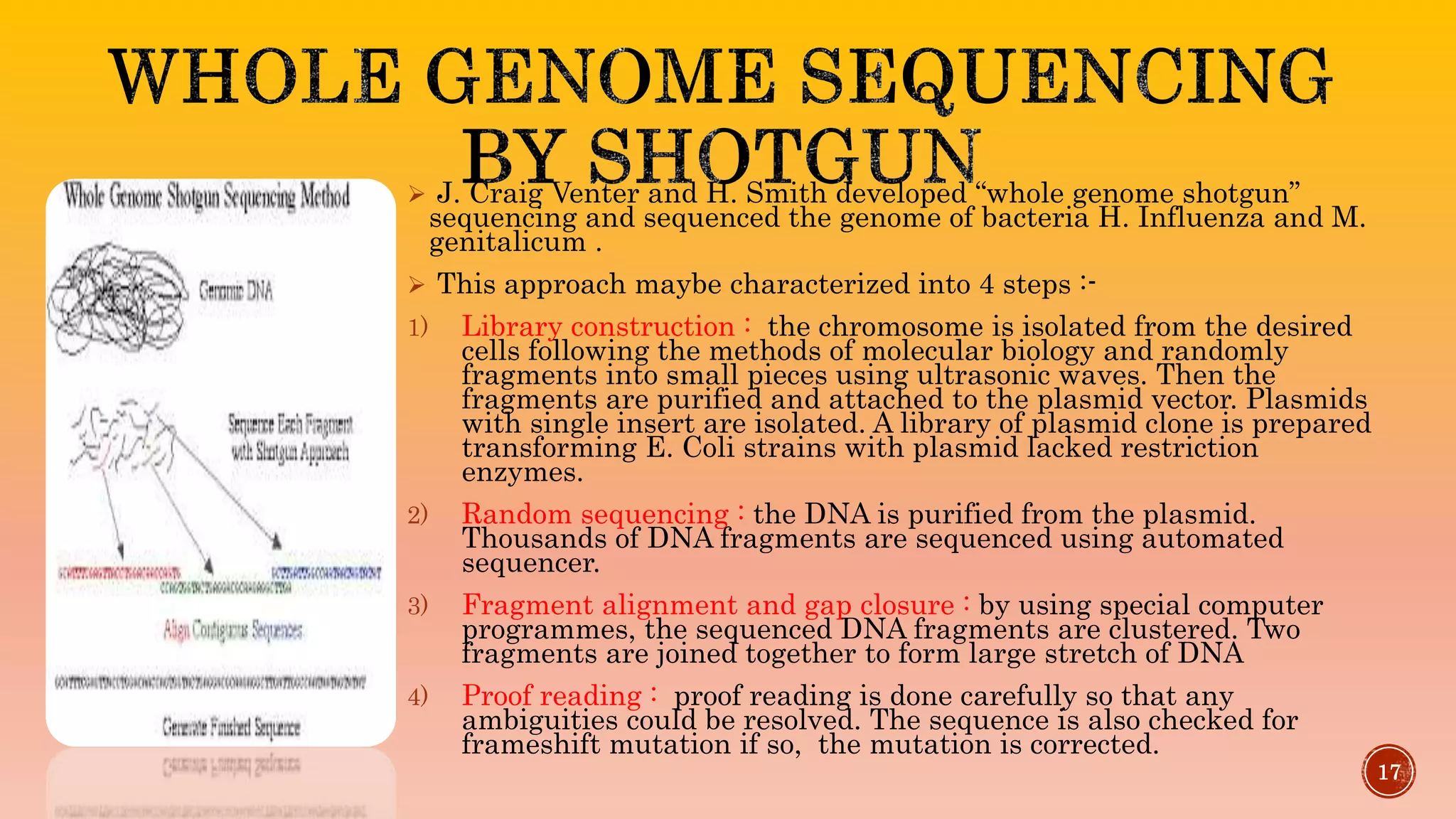 DNA SEQUENCING METHODS AND STRATEGIES FOR GENOME SEQUENCING | PPTX