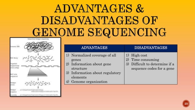 DNA SEQUENCING METHODS AND STRATEGIES FOR GENOME SEQUENCING | PPTX ...