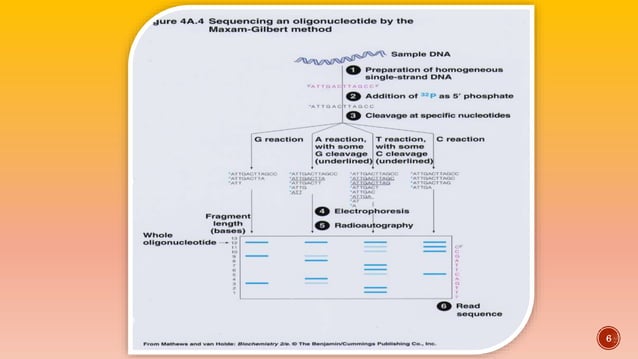 DNA SEQUENCING METHODS AND STRATEGIES FOR GENOME SEQUENCING | PPTX ...