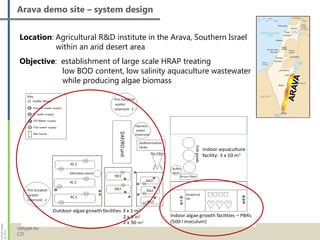Israelian demo site - SaltGae Final event | PPT