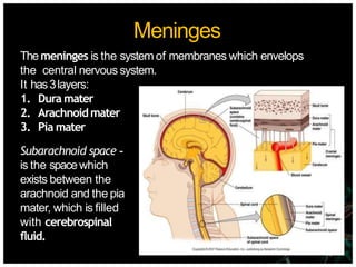 FINAL MENINGITIS.pptx
