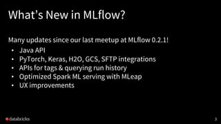 Advanced MLflow: Multi-Step Workflows, Hyperparameter Tuning and Integrating Custom Libraries | PPT