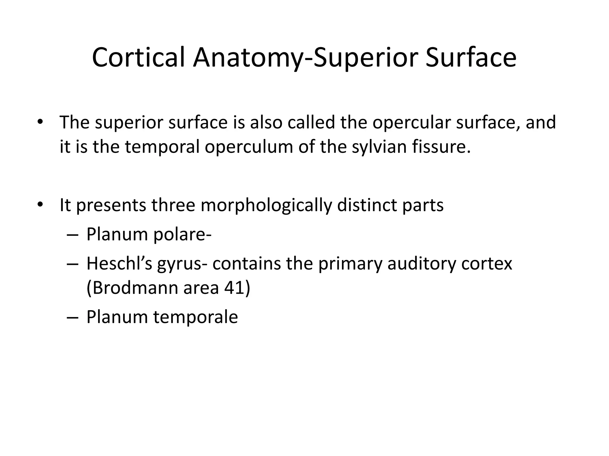 Final microsurgical anatomy of medial temporal lobe | PPTX