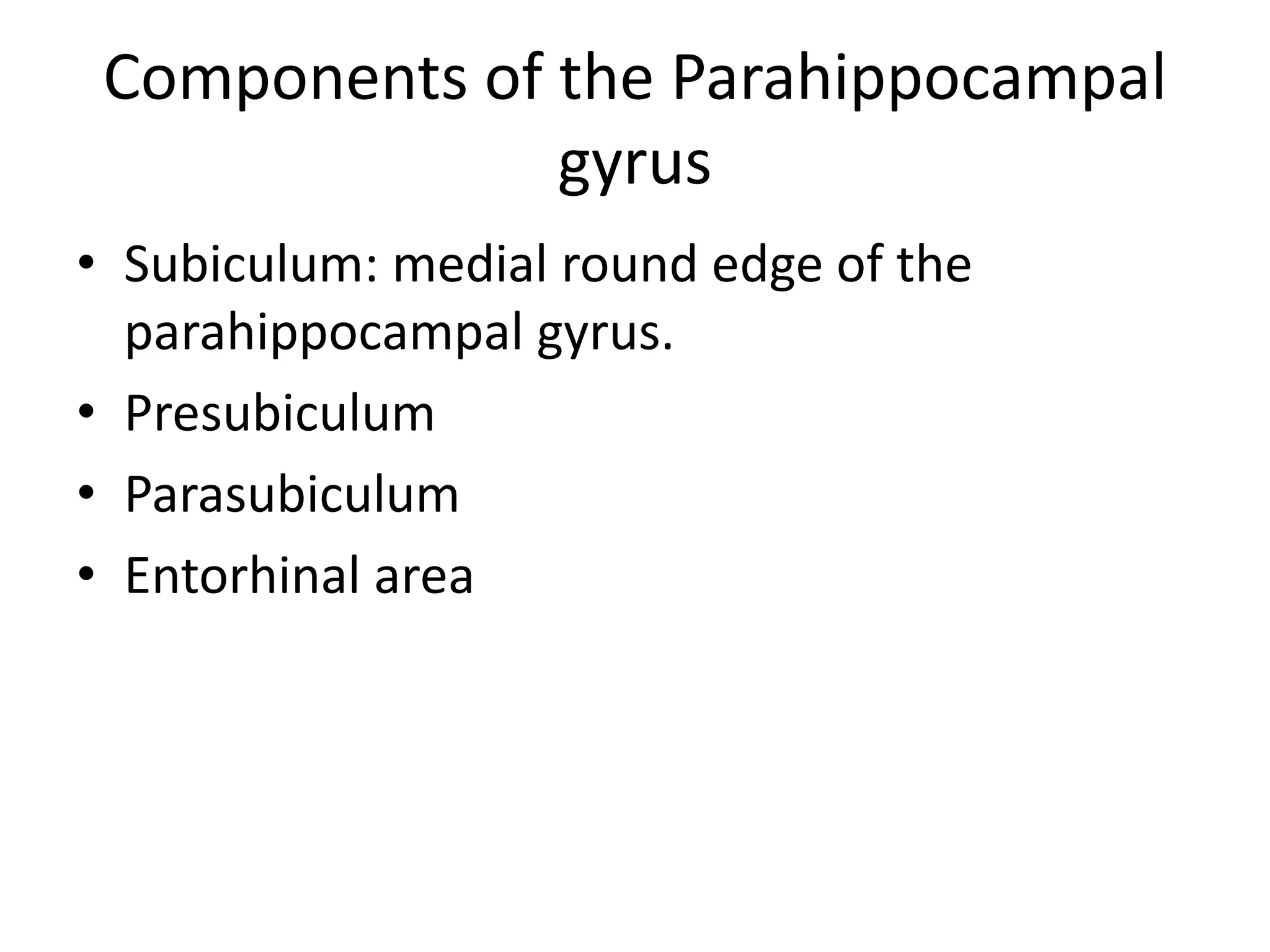 Final microsurgical anatomy of medial temporal lobe | PPTX