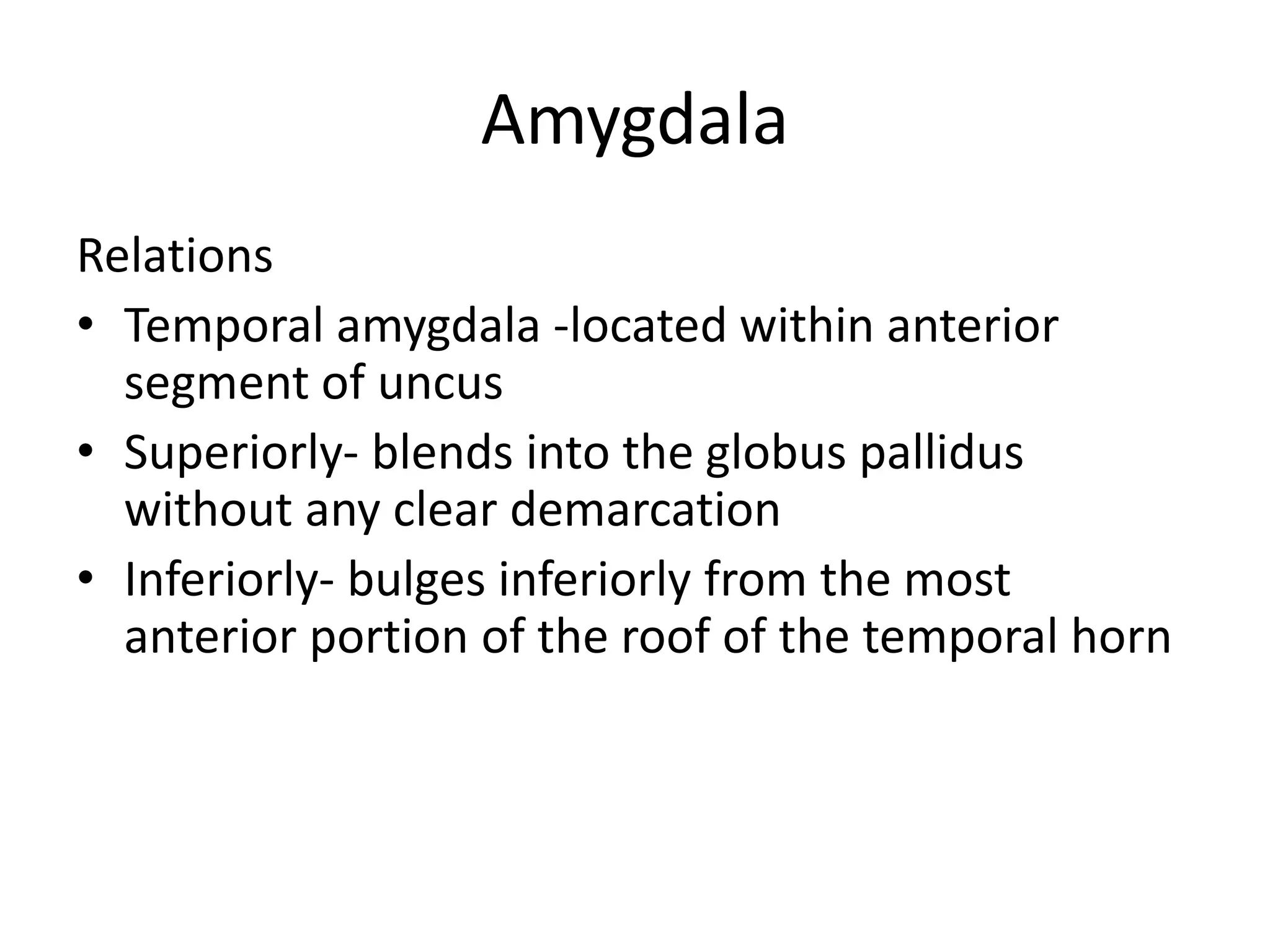 Final microsurgical anatomy of medial temporal lobe | PPTX