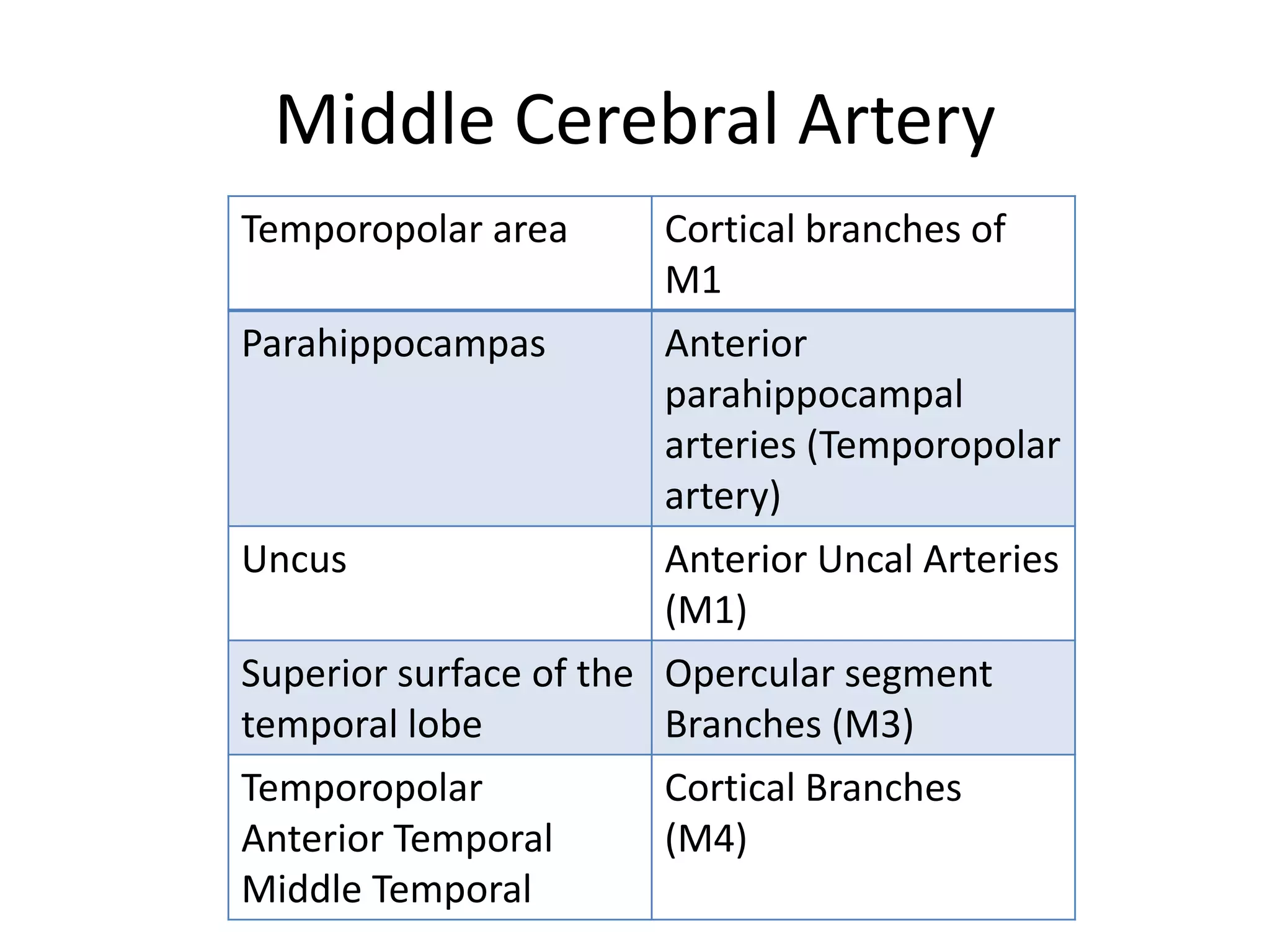 Final microsurgical anatomy of medial temporal lobe | PPTX