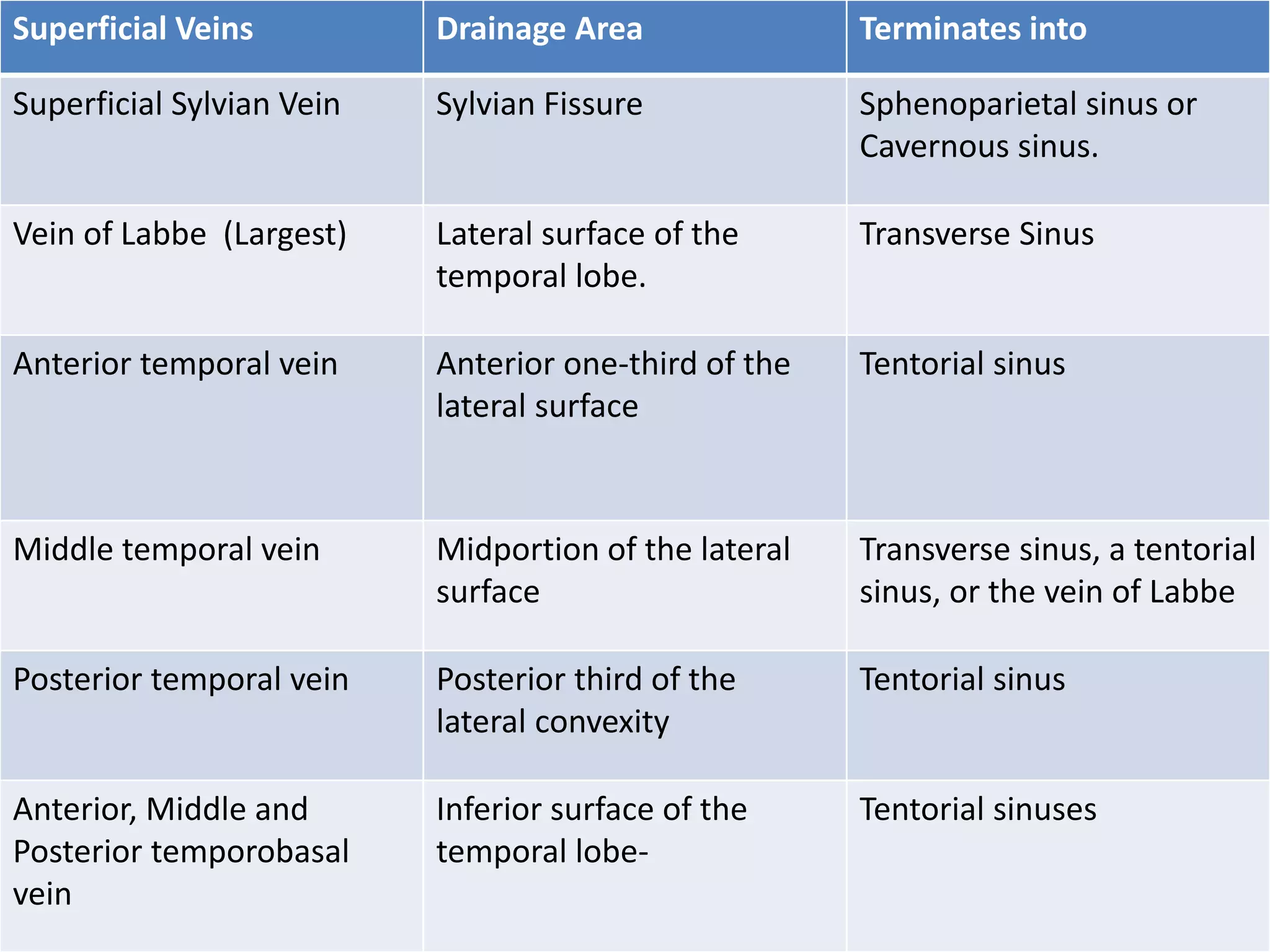 Final microsurgical anatomy of medial temporal lobe | PPTX
