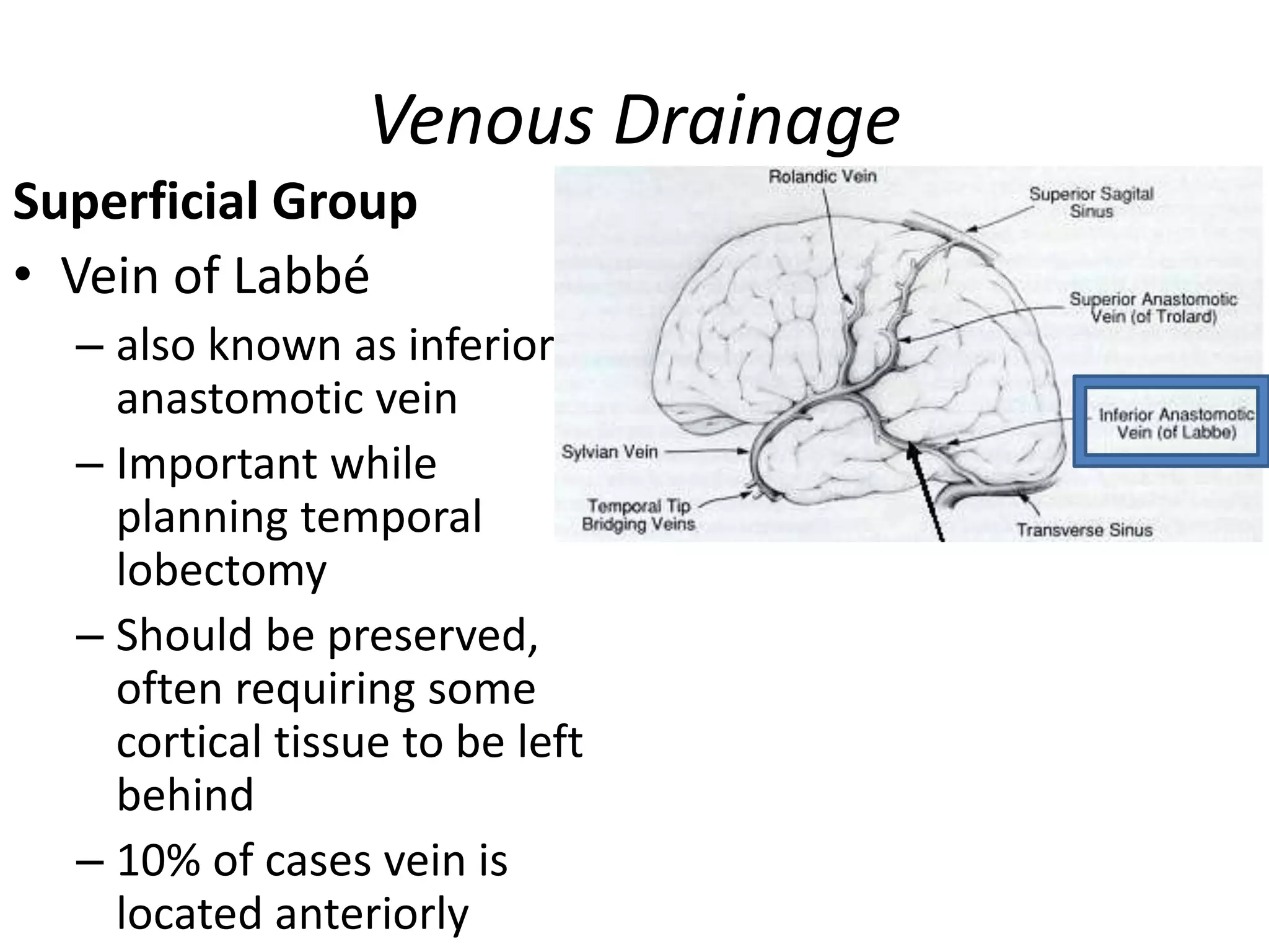 Final microsurgical anatomy of medial temporal lobe | PPTX