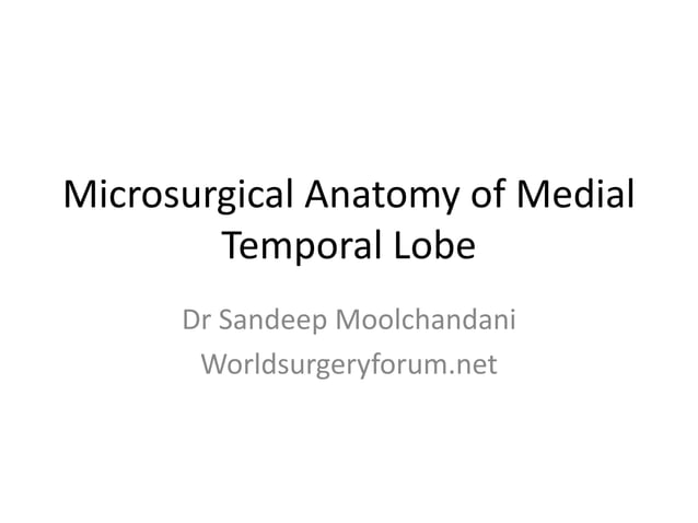 Final microsurgical anatomy of medial temporal lobe | PPTX | Brain and ...