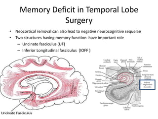 Final microsurgical anatomy of medial temporal lobe | PPTX