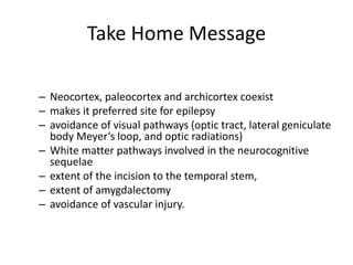 Final microsurgical anatomy of medial temporal lobe | PPTX