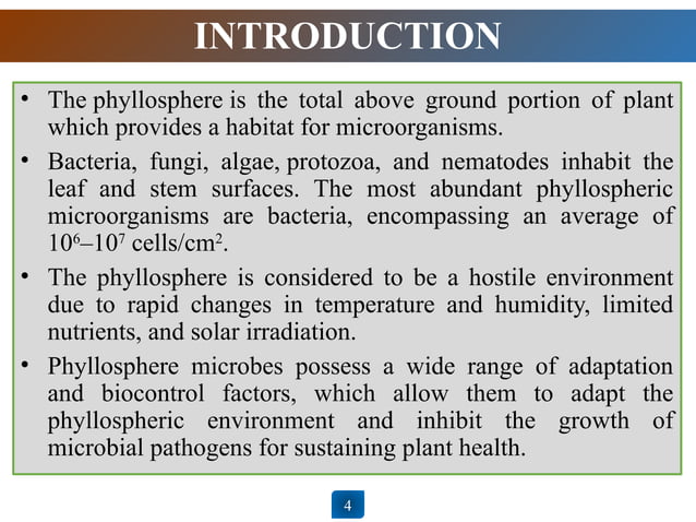 Phyllospheric bacteria and their role in plant disease management | PPT