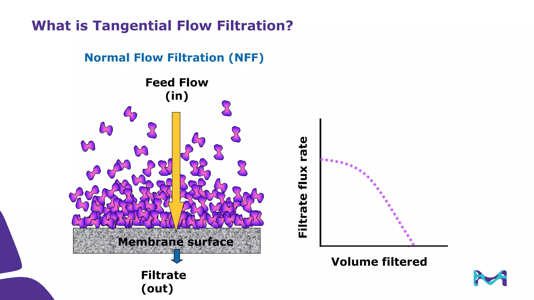 Introduction to Tangential Flow Filtration (TFF) | PDF | Chemistry ...